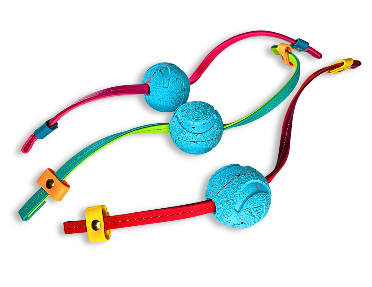 The Slide Tug — Trailblazing Tails