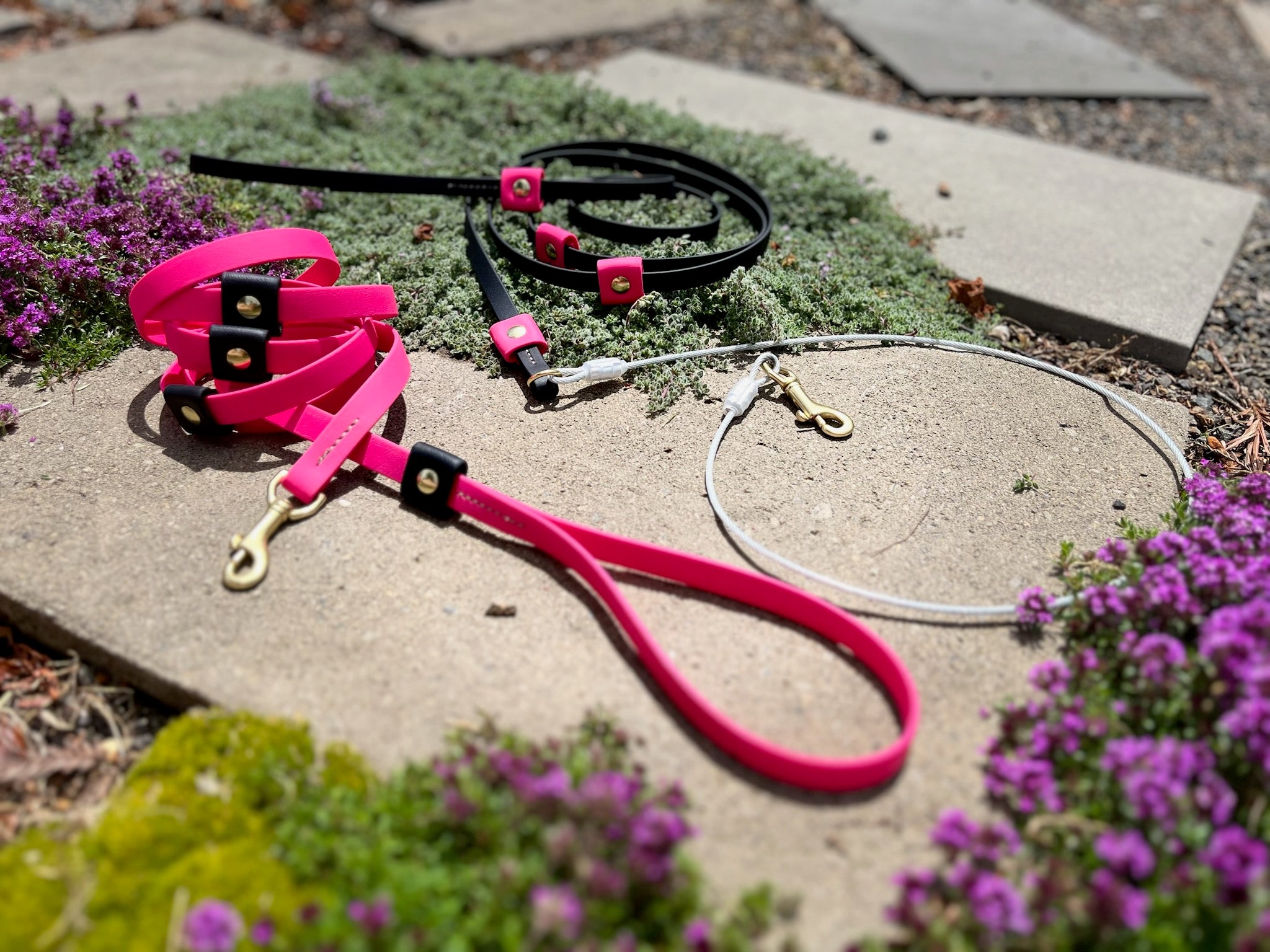 BioThane dog leashes and gear! — Trailblazing Tails