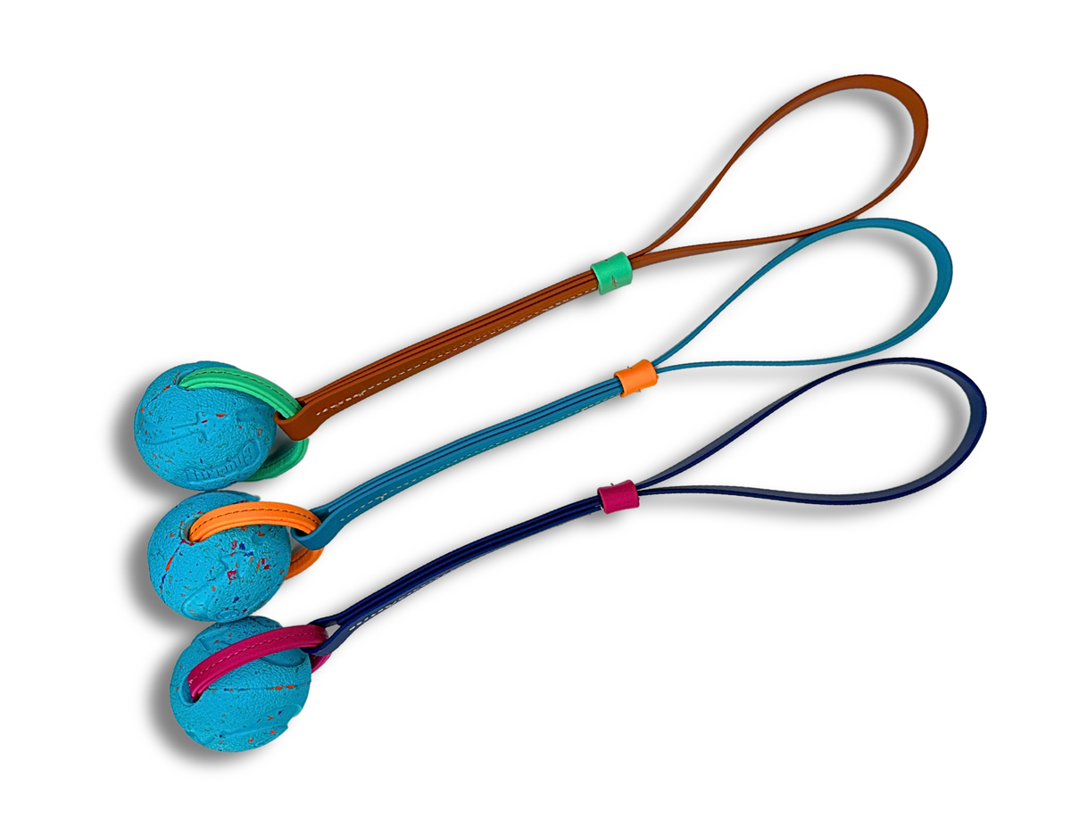 The Unparalleled Tug Toy — Trailblazing Tails