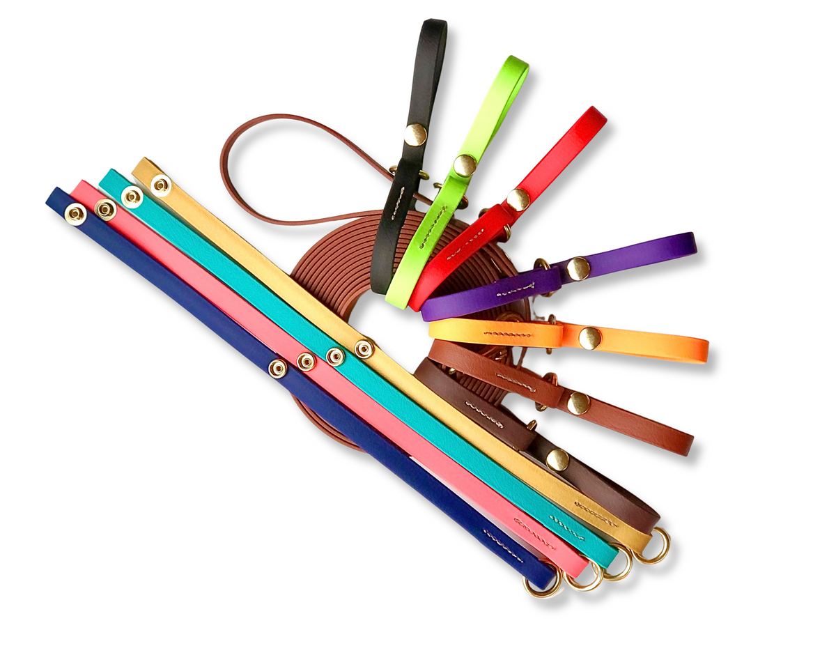 Long Line Holder — Trailblazing Tails