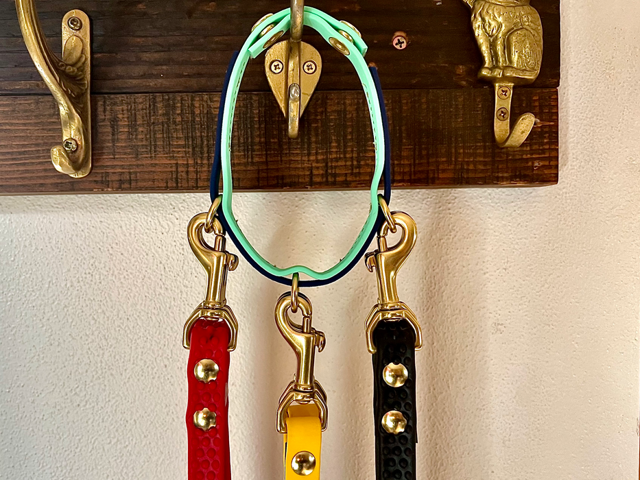 Leash Organizer — Trailblazing Tails
